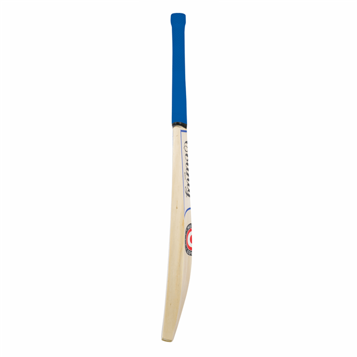 Hunts County Cricket Bat Neo Strike Kashmir Willow Junior Size - VSports
